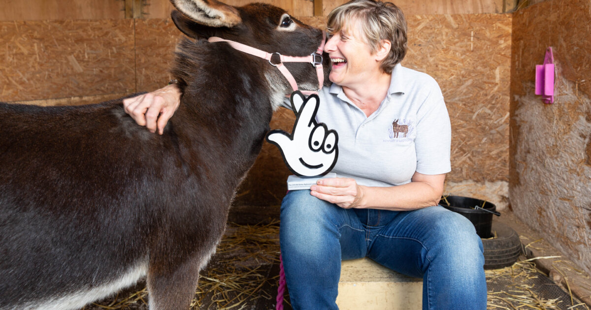 The healing power of miniature donkeys - National Lottery Good Causes