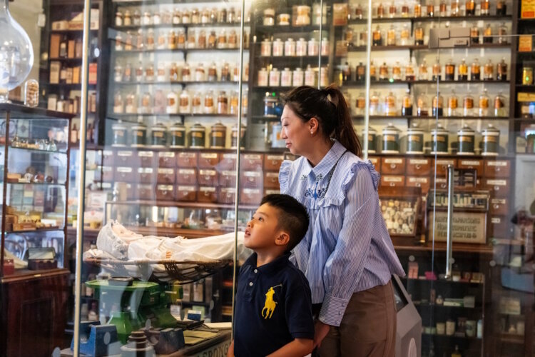 Norfolk Museums - Free entry to Norwich Castle - National Lottery Open ...